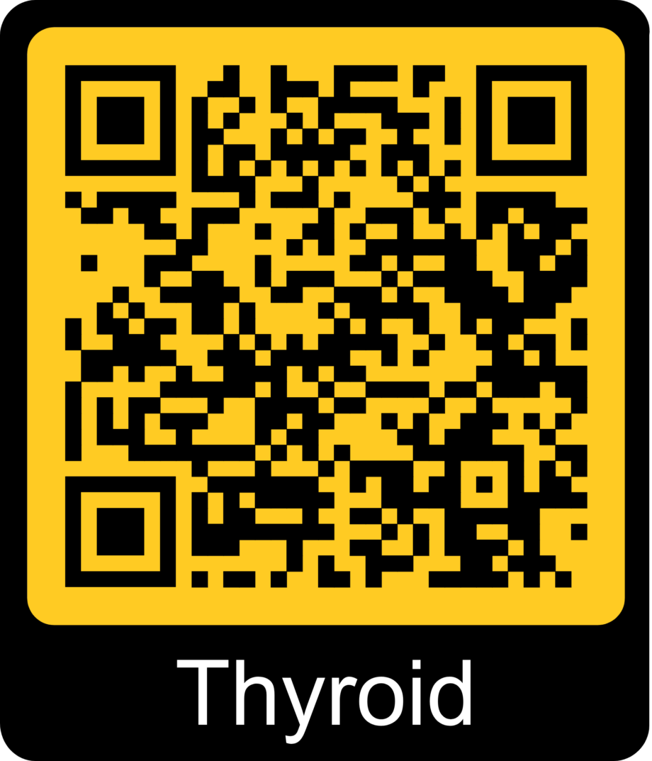 Thyroid gland - Operation Information