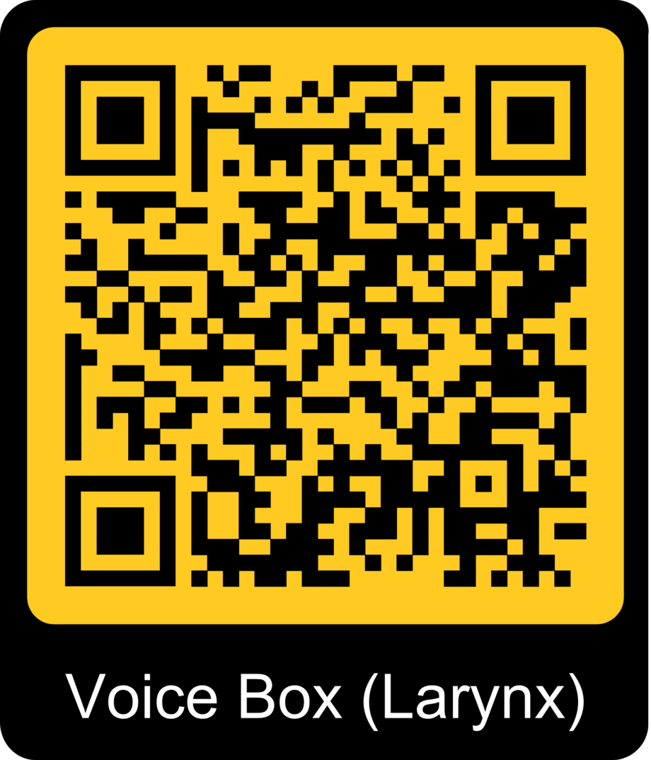 Voicebox (Larynx) - Operation Information